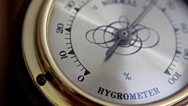 What Does A Hygrometer Do? | NewViolinist