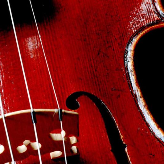 How Many Stradivarius Violins Are There? | NewViolinist