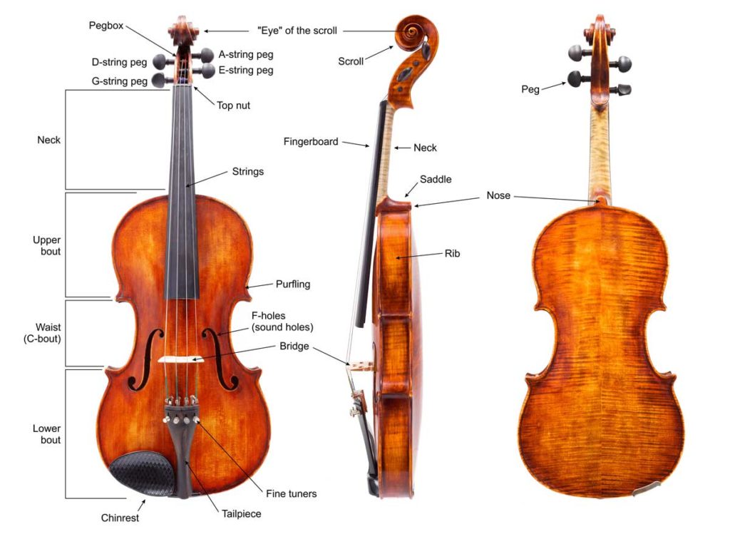 Violin Parts | What Makes a Violin? | NewViolinist